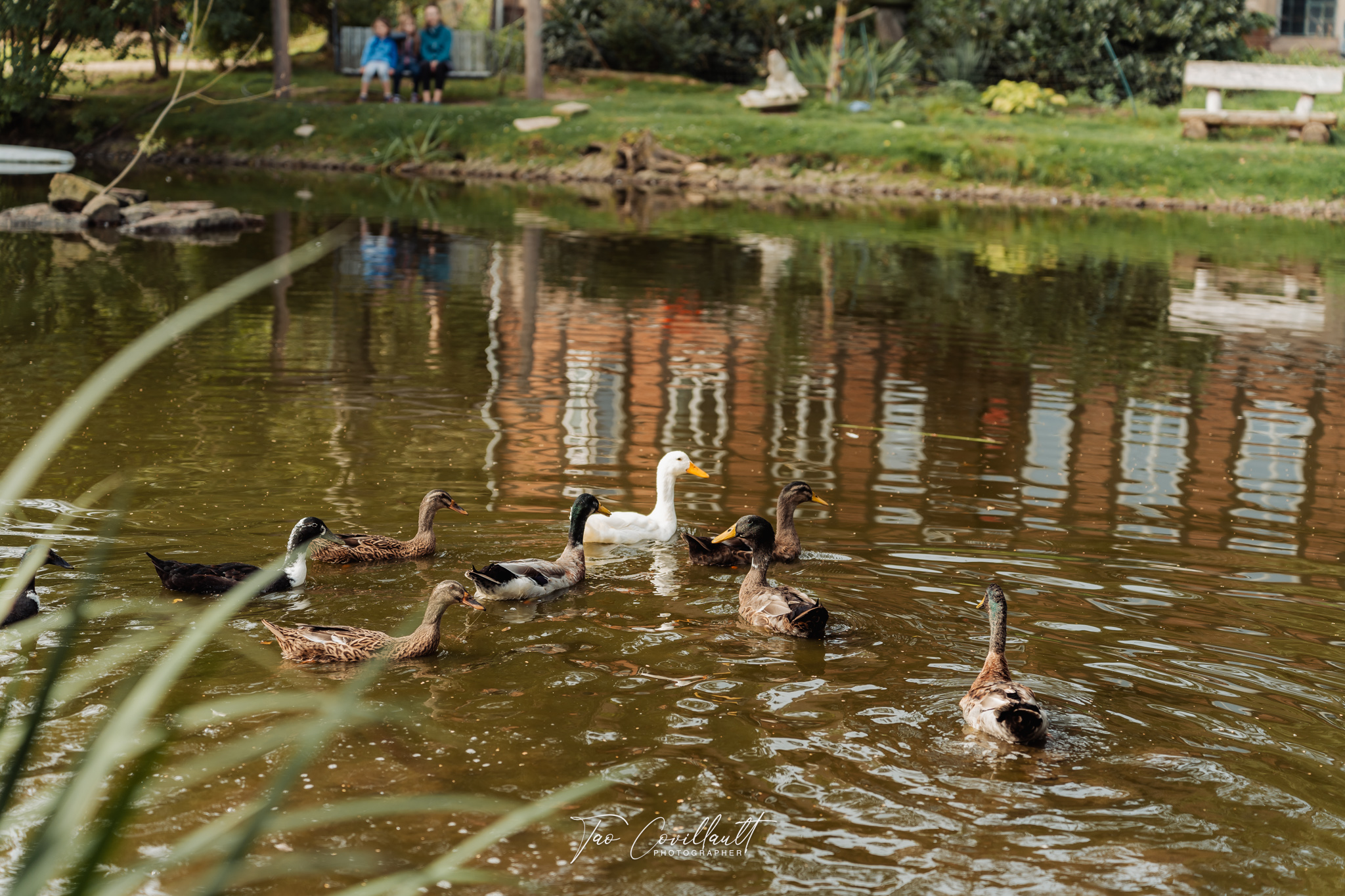 ACRONYX FESTIVALS & TERMINE 2025/2026 - ACRONYX